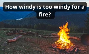 How Windy Is Too Windy For A Fire: Top 5 Strong Factors