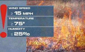 How Windy Is Too Windy For A Fire: Top 5 Strong Factors