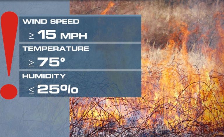 How Windy Is Too Windy For A Fire: Top 5 Strong Factors